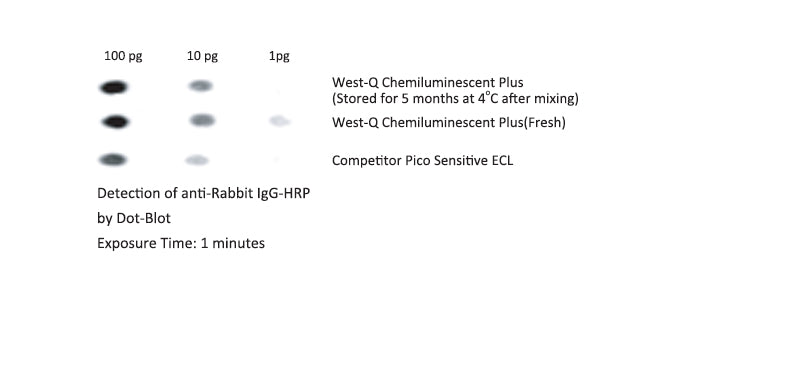 West-Q Chemiluminescent Substrate Kit, Plus – GenDEPOT