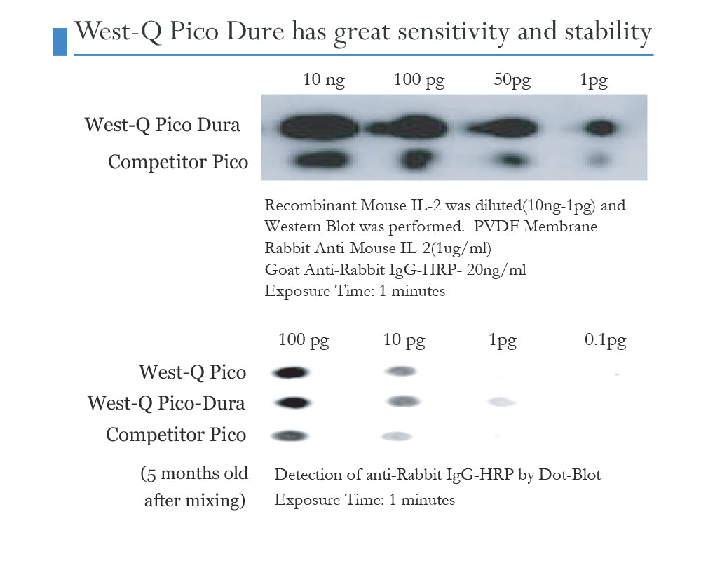 West-Q Pico Dura ECL Solution – GenDEPOT