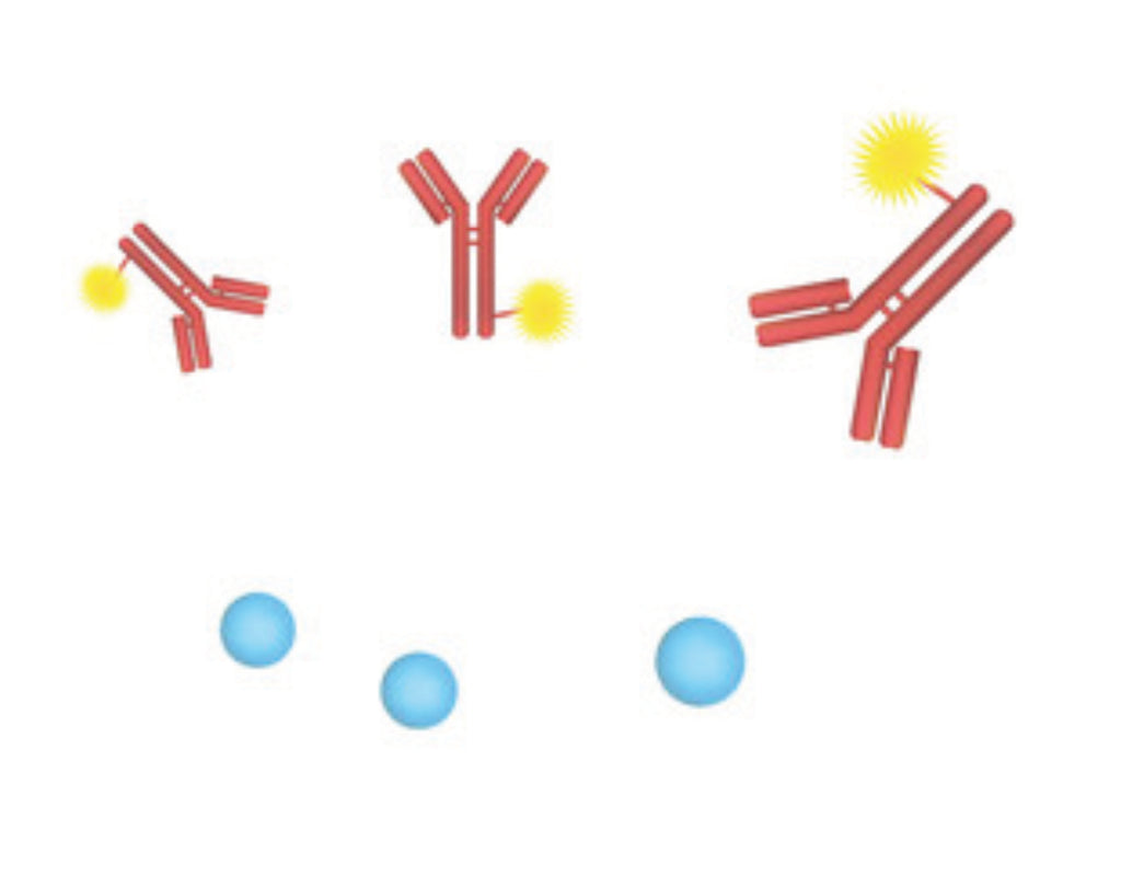Protein Assay Reagent – GenDEPOT