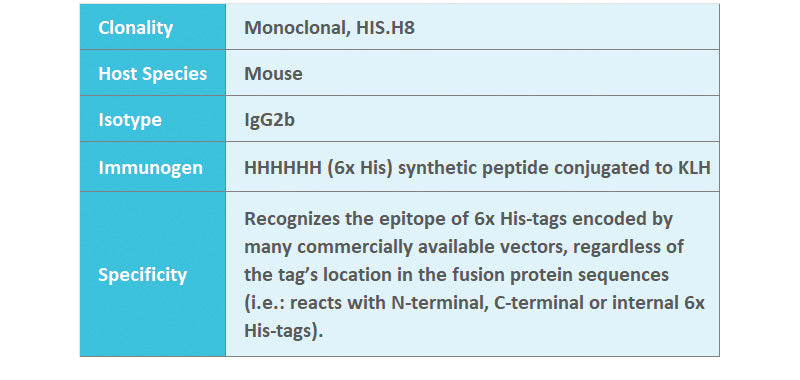 His-Tag Mouse Monoclonal Antibody, 1mg/ml – GenDEPOT