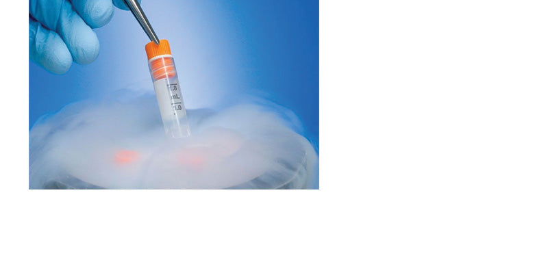 Cell Freezing Media I 50ml – GenDEPOT