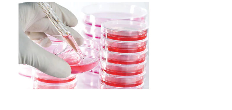 Dispase Solution, 5mg/ml in DMEM/F-12, 200ml – GenDEPOT