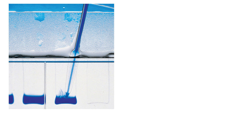 SDS-PAGE Stacking Gel Casting Solution – GenDEPOT