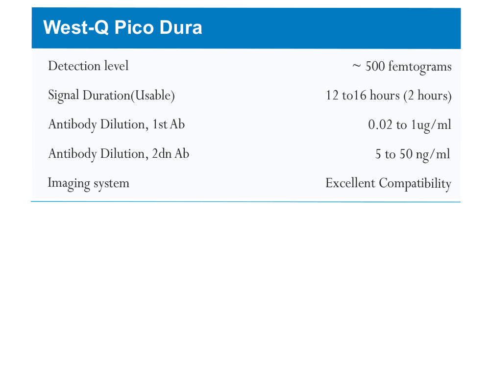 West-Q Pico Dura ECL Solution – GenDEPOT
